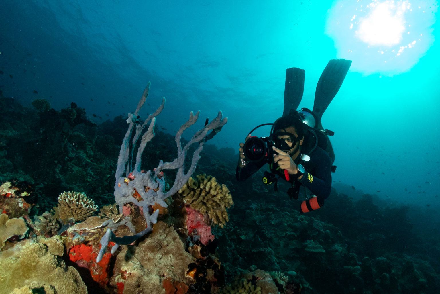Home - Himmafushi Scuba Adventure